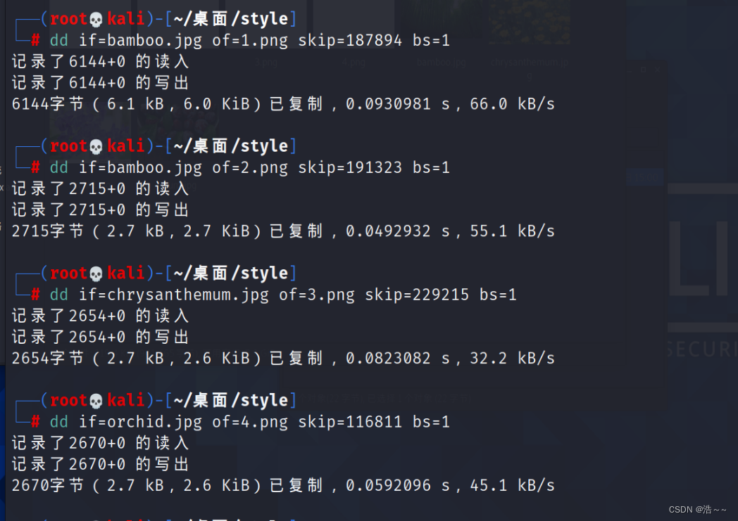 中职网络安全—隐藏信息探索_kali strings-CSDN博客