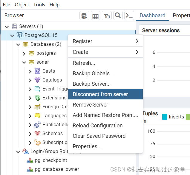 Windows下sonarqube10.0安装与配置（二）_win10 sonarqube安装使用-CSDN博客