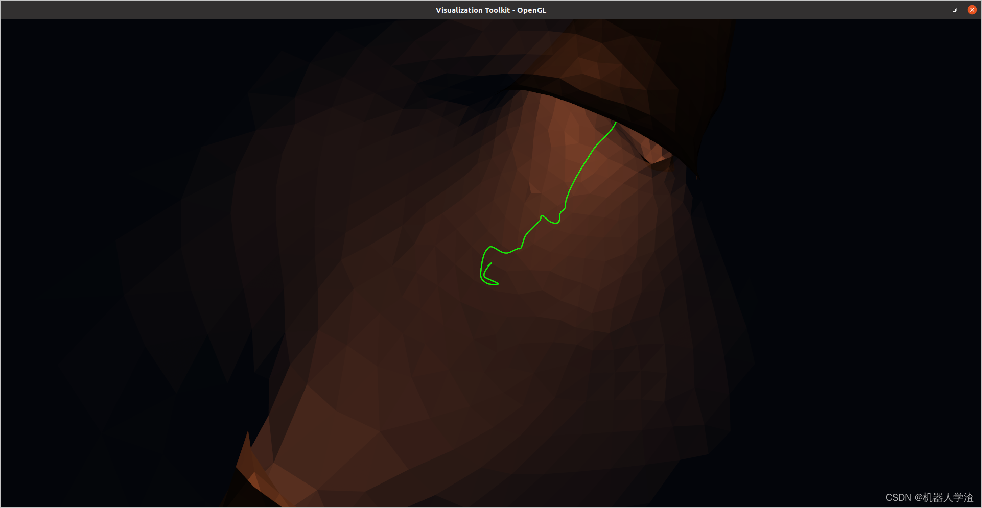 VTK(五)---内窥镜漫游（基于VMTK血管中心线提取）_vmtkcenterlineextraction-CSDN博客