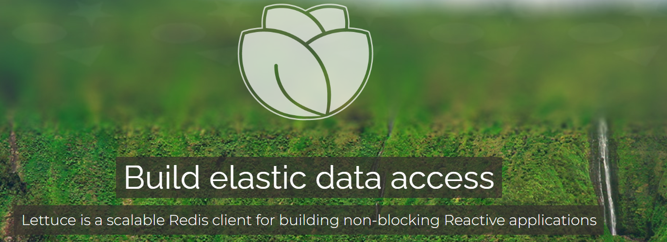 详解Redis之Lettuce实战_io.lettuce-CSDN博客