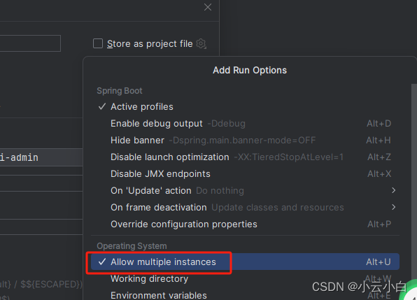 idea2023 运行多 springboot 实例_idea中springboot多实例运行-CSDN博客