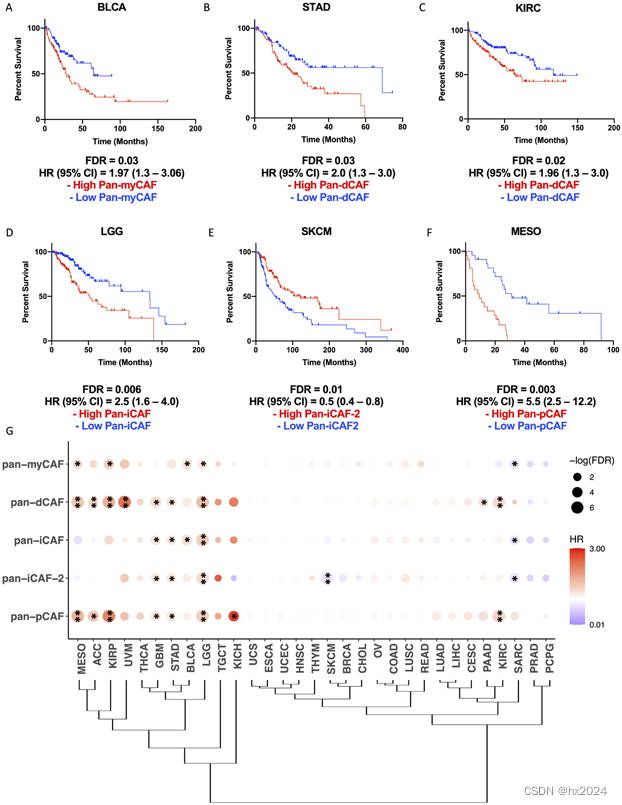 肿瘤相关成纤维细胞分型及单细胞深入研究（文献）_pancaf-CSDN博客