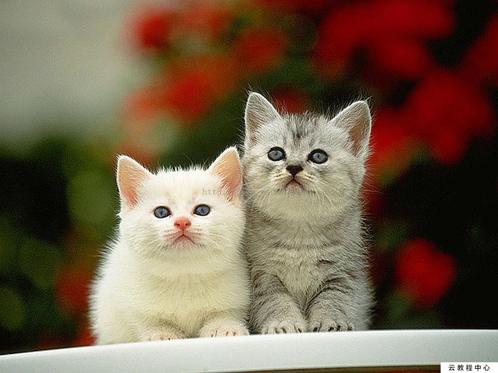 Python图像处理库PIL的滤波_ImageFilter_简述pil对图像进行滤波处理有哪些滤波器?-CSDN博客