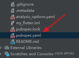【Flutter·学习实践·配置】认识配置文件pubspec.yaml_pubspec.yaml 依赖本地库的使用-CSDN博客