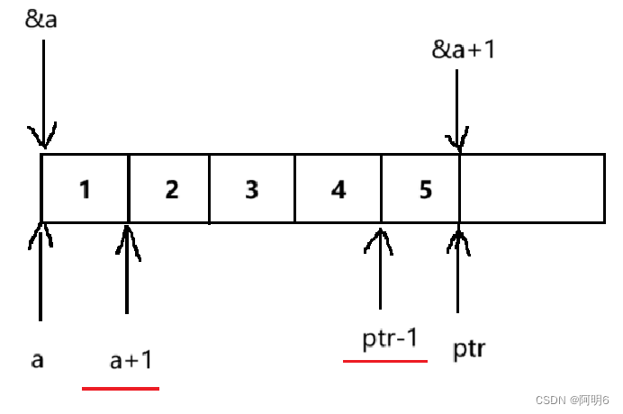 【C语言】指针 和 数组 笔试题详解_声明指向int类型的二维数组a[3][5]的数组指针p的声明代码是-CSDN博客