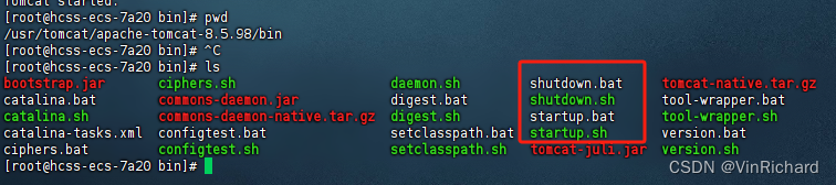 linux安装tomcat_linux tomcat8.5下载-CSDN博客