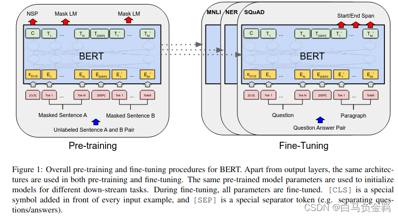 BERT（从理论到实践）: Bidirectional Encoder Representations from Transformers【1】-CSDN博客