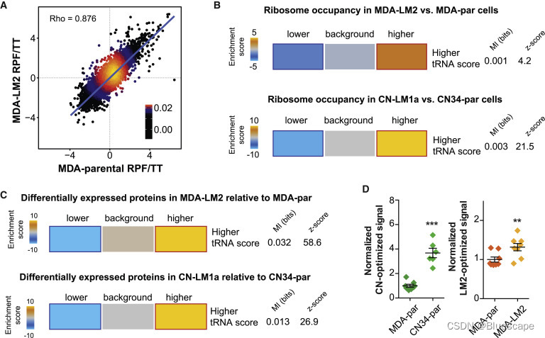 应用Ribo-seq技术量化tRNA对乳腺癌细胞转移的调控-CSDN博客