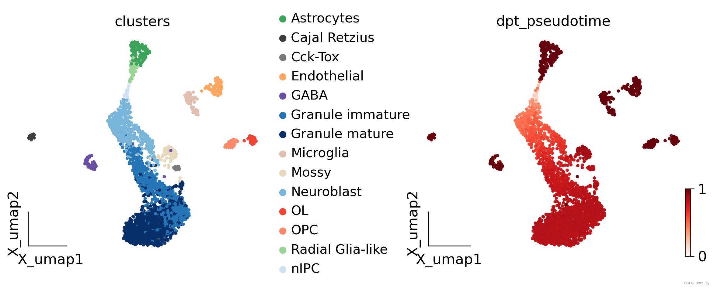 4.基于python的scRNA-seq轨迹推断-伪时间计算_伪时间序列-CSDN博客