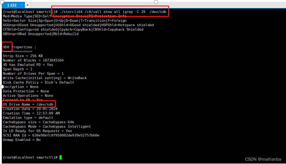 raid模式下通过系统盘符定位对应物理盘_raid卡中的硬盘做了raid用storcli命令怎么查看vd对应的物理硬盘-CSDN博客