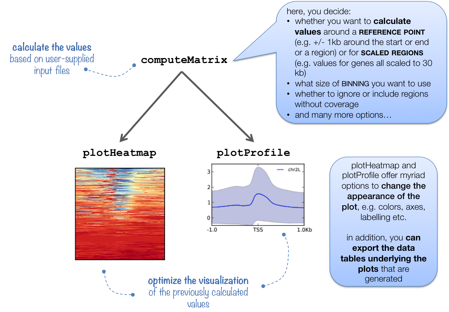 如何使用deeptools处理BAM数据-CSDN博客