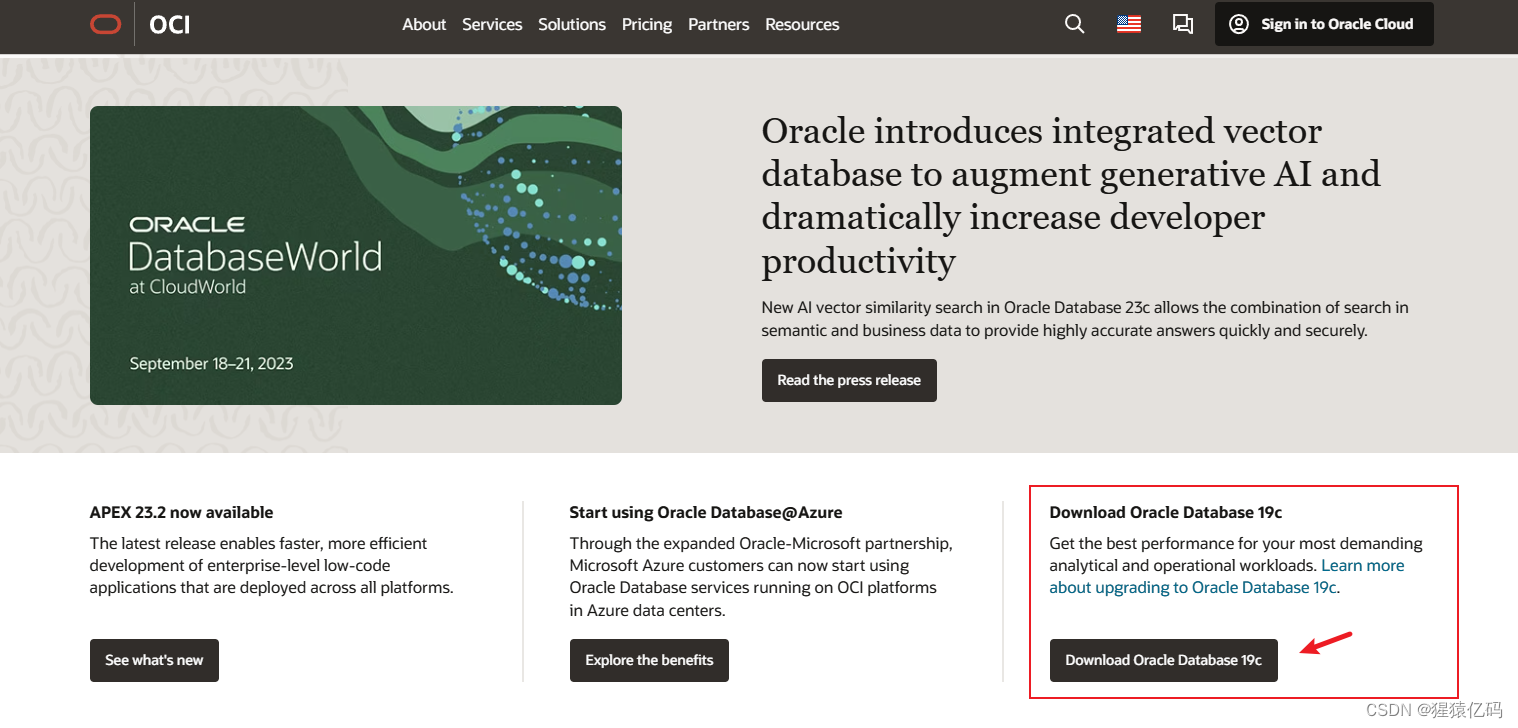 Win11安装与卸载Oracle 19c数据库_win11安装oracle19c-CSDN博客
