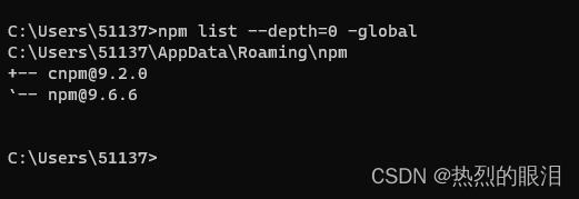 基于多版本node在同一台电脑上的使用（nvm）_同一台电脑 不同版本 nodejs-CSDN博客