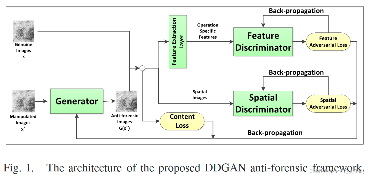 Dual-Domain Generative Adversarial Network for Digital Image Operation Anti-Forensics_ddgan-CSDN博客