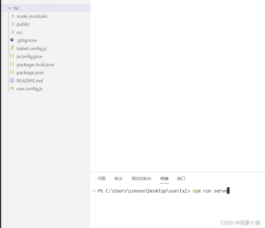 vscode 运行VUE项目 没有出现 npm脚本_vue3项目npm脚本的选项怎么没有了-CSDN博客