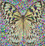 训练扩散模型---史密森尼蝴蝶数据集_ddpm butterflies-CSDN博客