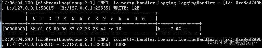 Netty的LoggingHandler记录日志_netty logginghandler-CSDN博客