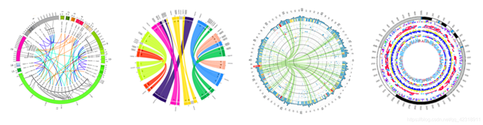 Circos在Windows下的安装教程_windows安装circos-CSDN博客