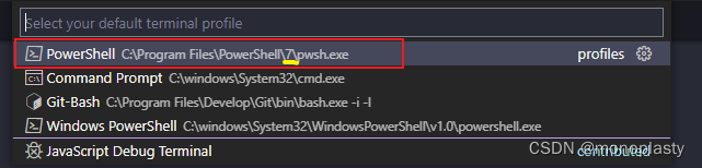 Windows Terminal 最新版安装和美化 以及scoop工具使用_microsoft terminal 最新版-CSDN博客