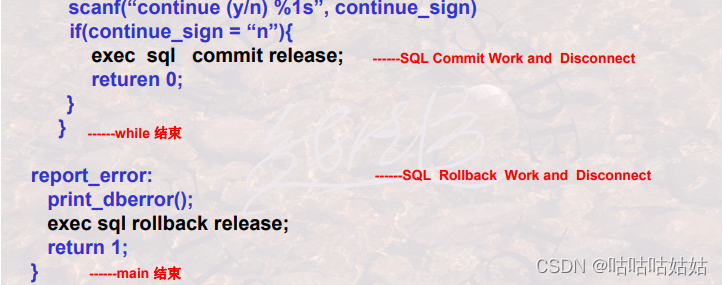 数据库系统——第十讲 嵌入式sql语言之动态sql嵌入式sql语言包括odbc Csdn博客
