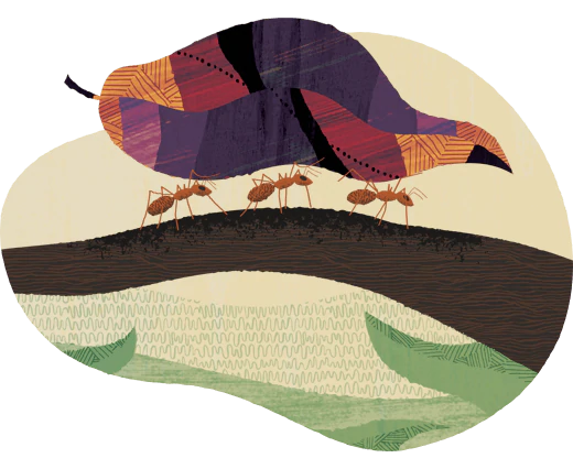 java ui oracle_Java-software | Oracle Nederland-CSDN博客