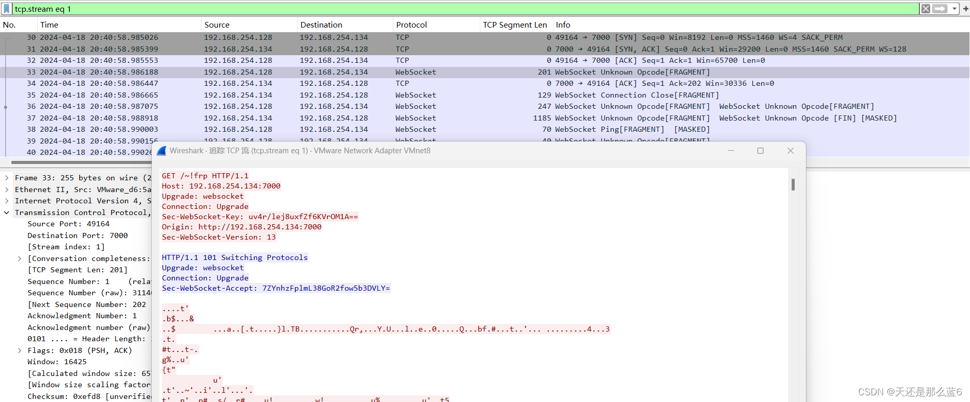 FRP(websocket) RDP实验_frp websocket-CSDN博客