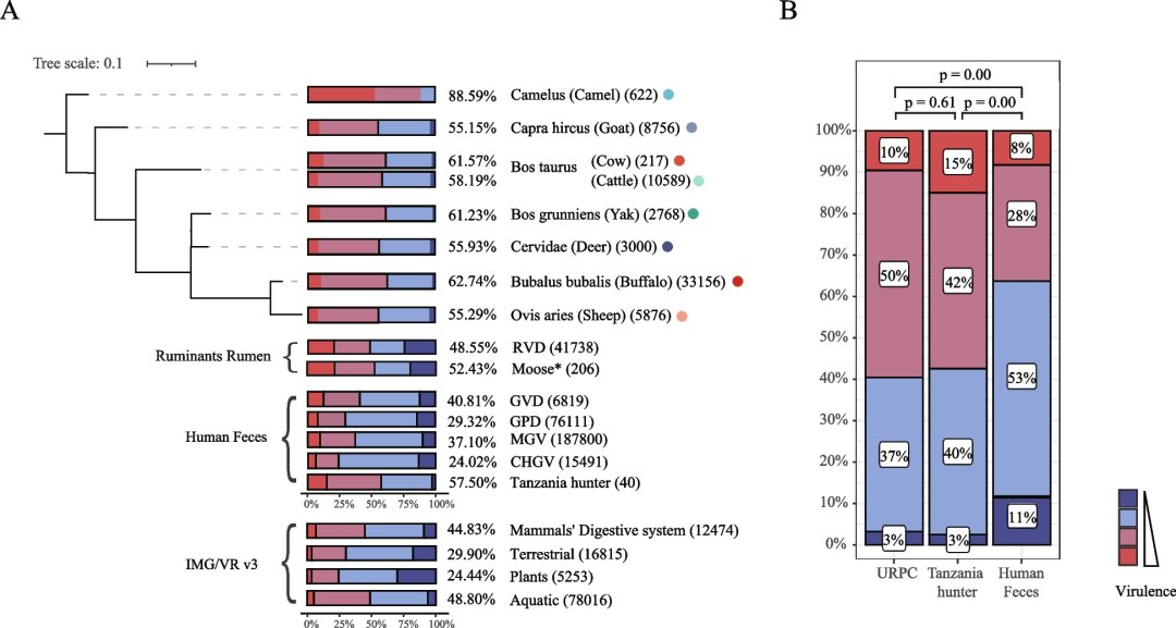 Microbiome | 华中科大陈卫华等构建URPC助力反刍动物胃肠道噬菌体综合研究-CSDN博客
