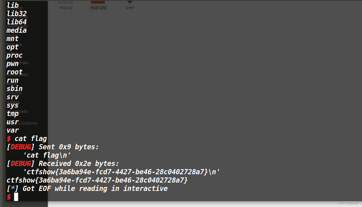 CTFshow-PWN-前置基础（pwn24-pwn25）_ctfshow pwn-CSDN博客
