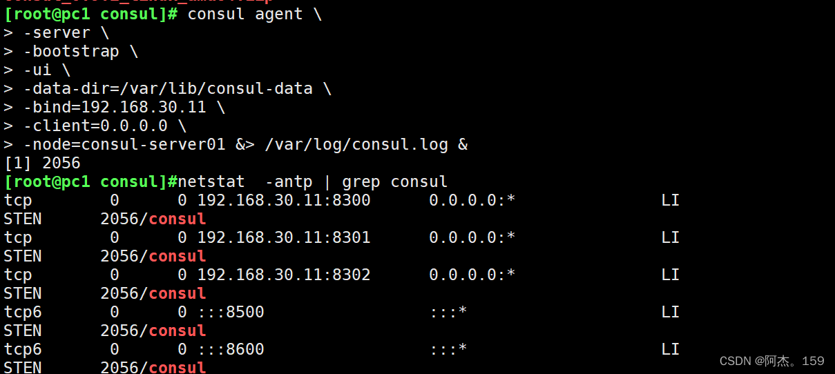 docker容器：Docker consul的容器服务更新与发现_docker consul 镜像-CSDN博客