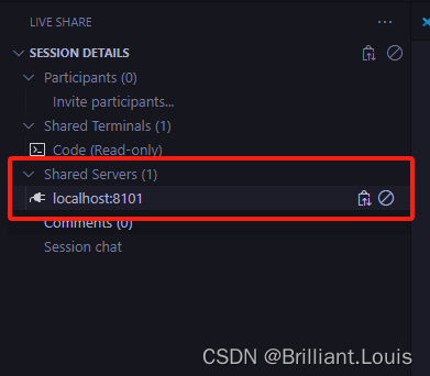 实时编辑代码神器LiveShare_vscode live share-CSDN博客