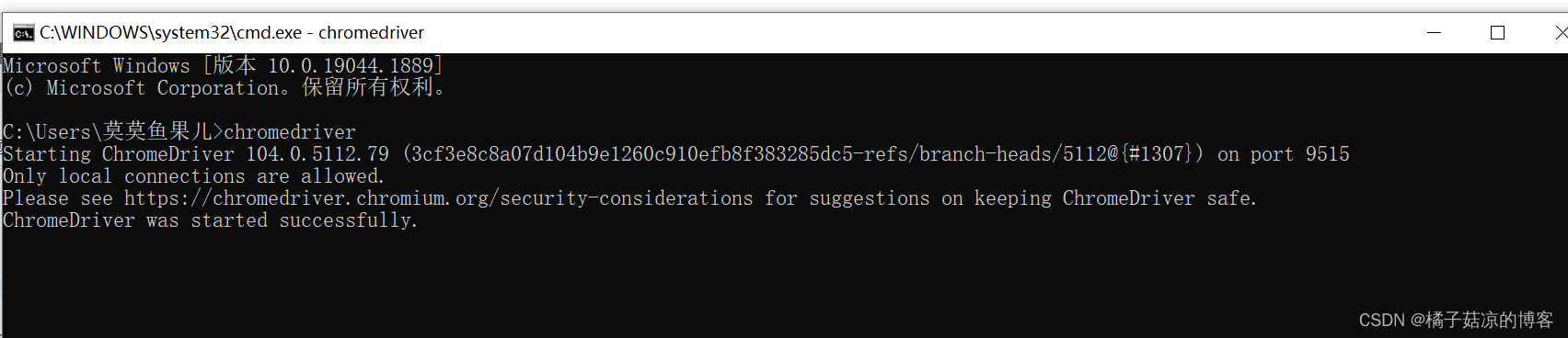 【已解决】chromedriver‘ executable needs to be in Path_chromedriver ...