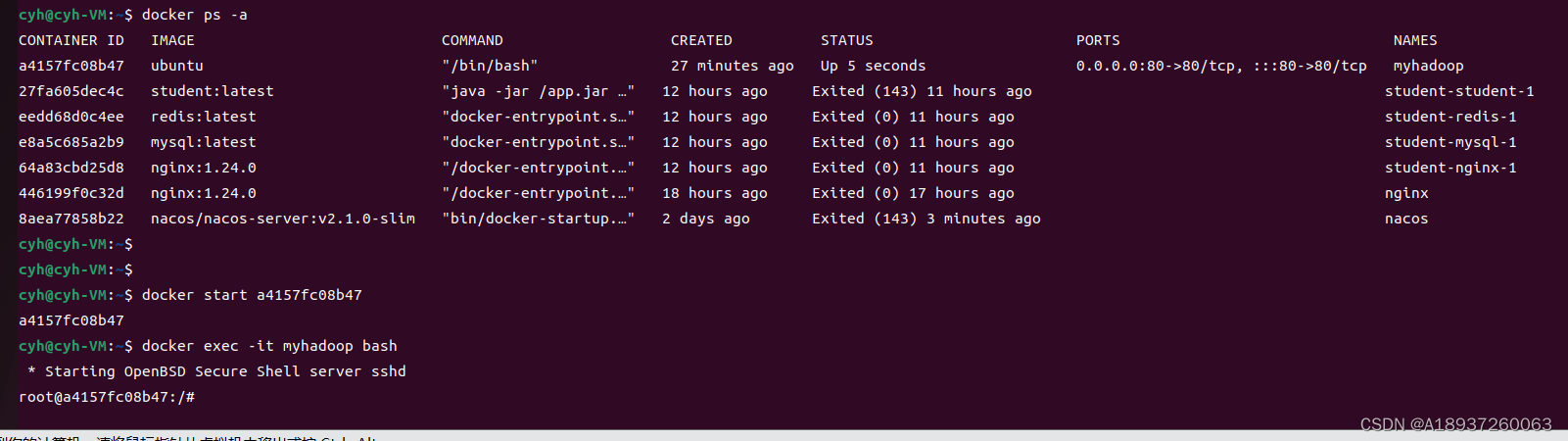 Docker部署hadoop+运行wordcount详解_基于docker完成hadoop搭建,并运行单词计数。-CSDN博客