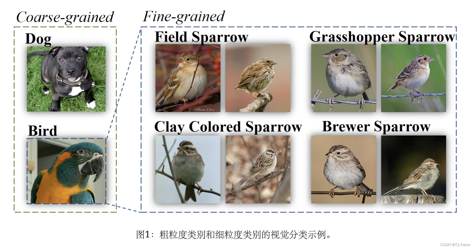 论文解读：Fine-grained Visual Classification with High-temperature Refinement and Background ...