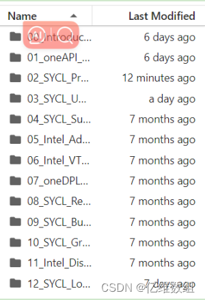 Intel® DevCloud for oneAPI SYCL编程项目实践_intel sycl编程如何编译-CSDN博客