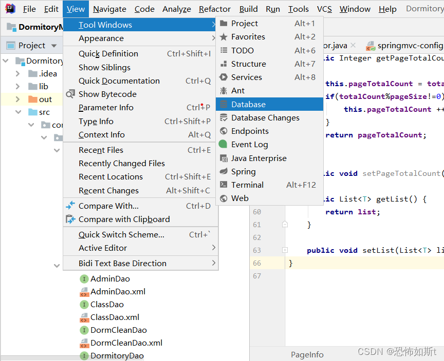 idea连接数据库快速生成pojo类_intellij-idea_恐怖如斯t-DAMO开发者矩阵