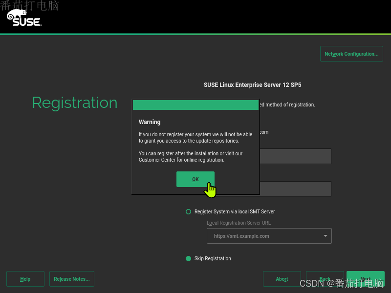 VMware workstation安装SUSE Linux Enterprise Server 12 SP5虚拟机并配置网络_vmware安装suseenterprise版本-CSDN博客