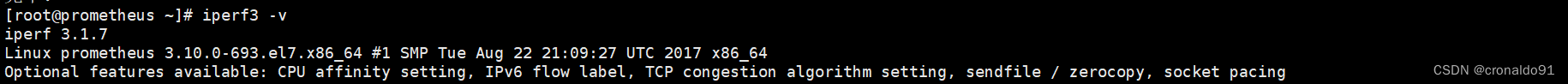 性能分析与调优: Linux 使用 iperf3 进行TCP网络吞吐量测试_linux iperf3测试-CSDN博客