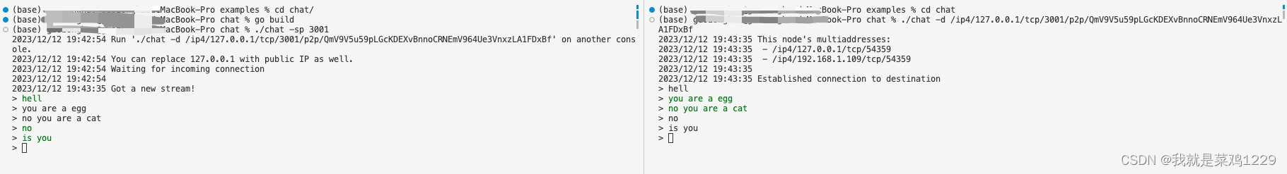 go-libp2p-example-chat学习_go libp2p-CSDN博客