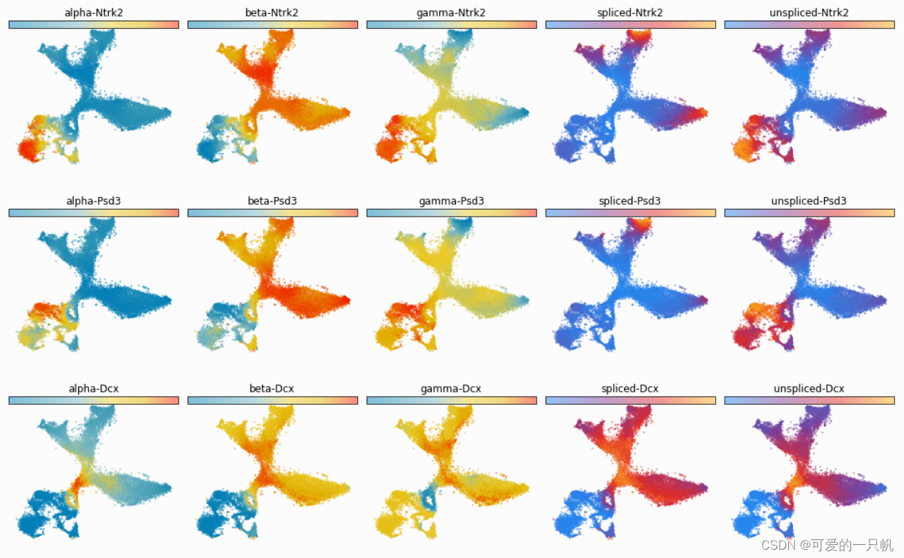 单细胞 | RNA速率 · cellDancer-CSDN博客