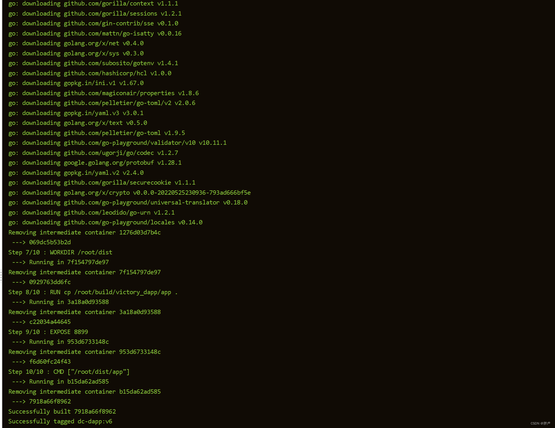 Docker 部署Goweb项目_将goweb 代码部署到docker中-CSDN博客