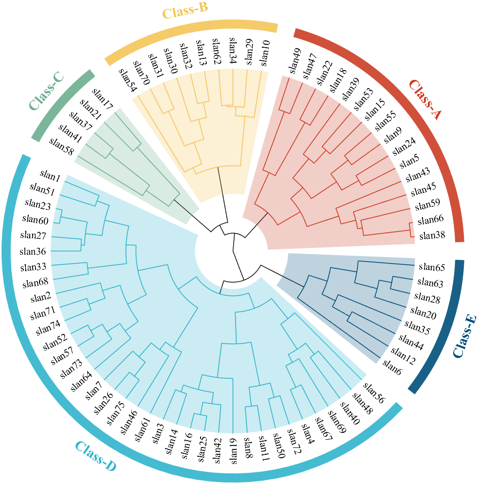 Matlab 超多样式聚类分析树状图任你选择~~matlab聚类效果图 Csdn博客