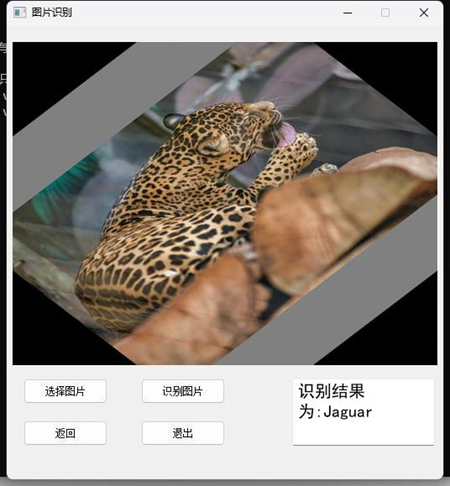 基于python_CNN卷积神经网络的AI算法进行野生动物识别-含数据集+pyqt界面_python+ai实现图生图可用神经节代码-CSDN博客