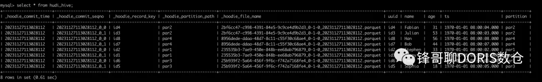 Apache Doris 整合 FLINK 、 Hudi 构建湖仓一体的联邦查询入门_doris 联邦查询-CSDN博客