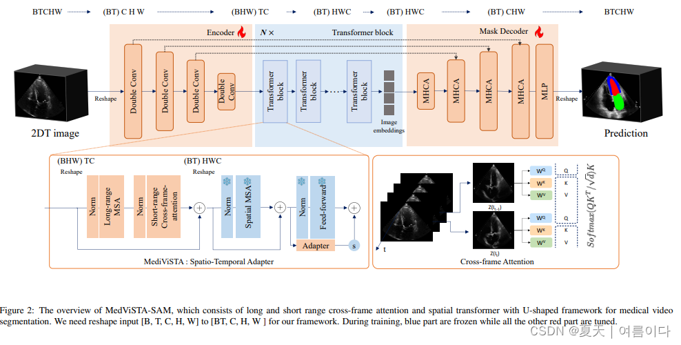 CV | SAM在医学影像上的模型调研【20240223更新版】_medsam 2024-CSDN博客