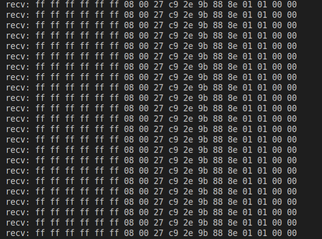 【RawSocket】Linux环境下RawSocket收发实例_linux c raw socket-CSDN博客