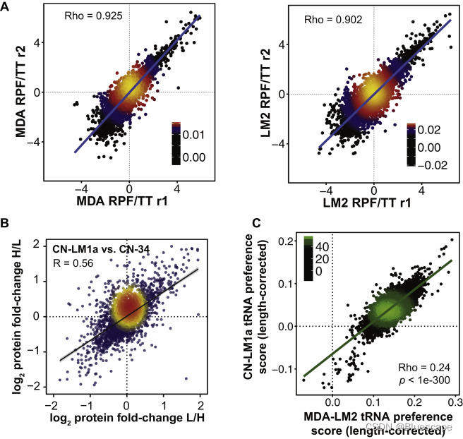 应用Ribo-seq技术量化tRNA对乳腺癌细胞转移的调控-CSDN博客