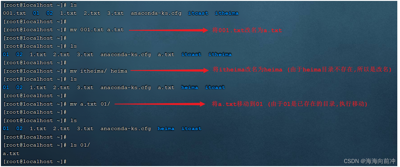 【Linux实用篇】Linux常用命令（2）_linux下cp和vi-CSDN博客