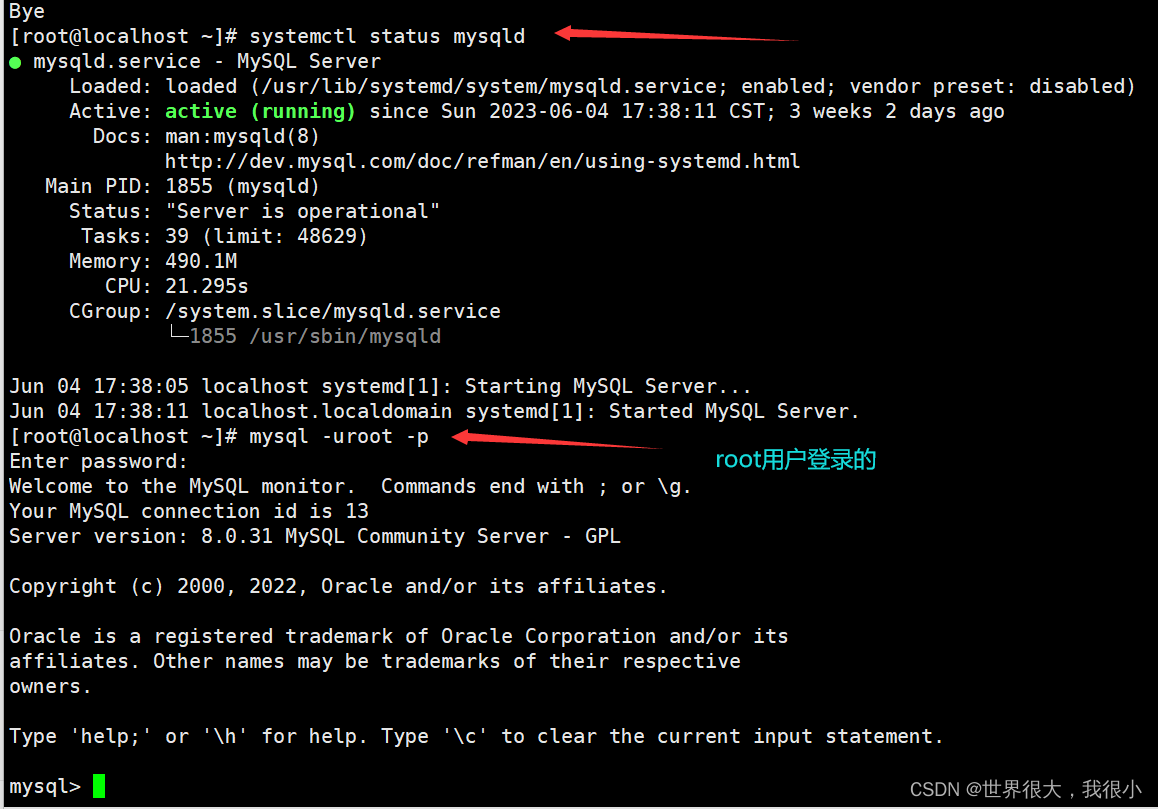 Linux搭建Discuz论坛-CSDN博客