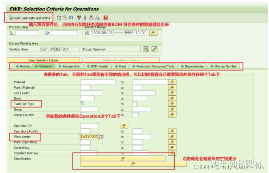 SAP-PP 批量修改工艺路线里的工作中心_sap cewb使用-CSDN博客